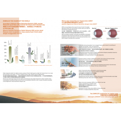 BIOBAY Omvizion 60 capsules