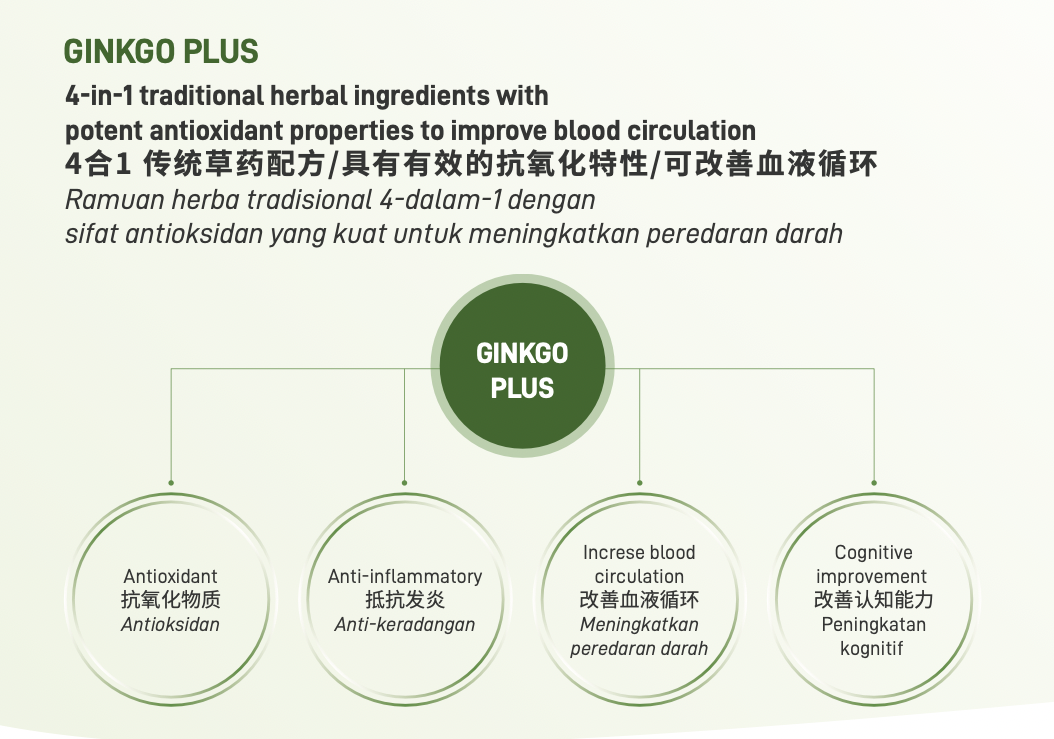 BIOBAY Ginkgo Plus 60 capsules
