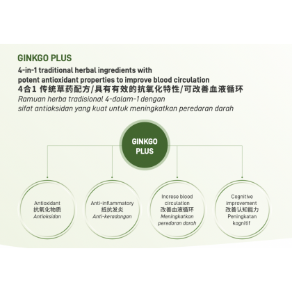 BIOBAY Ginkgo Plus 60 capsules