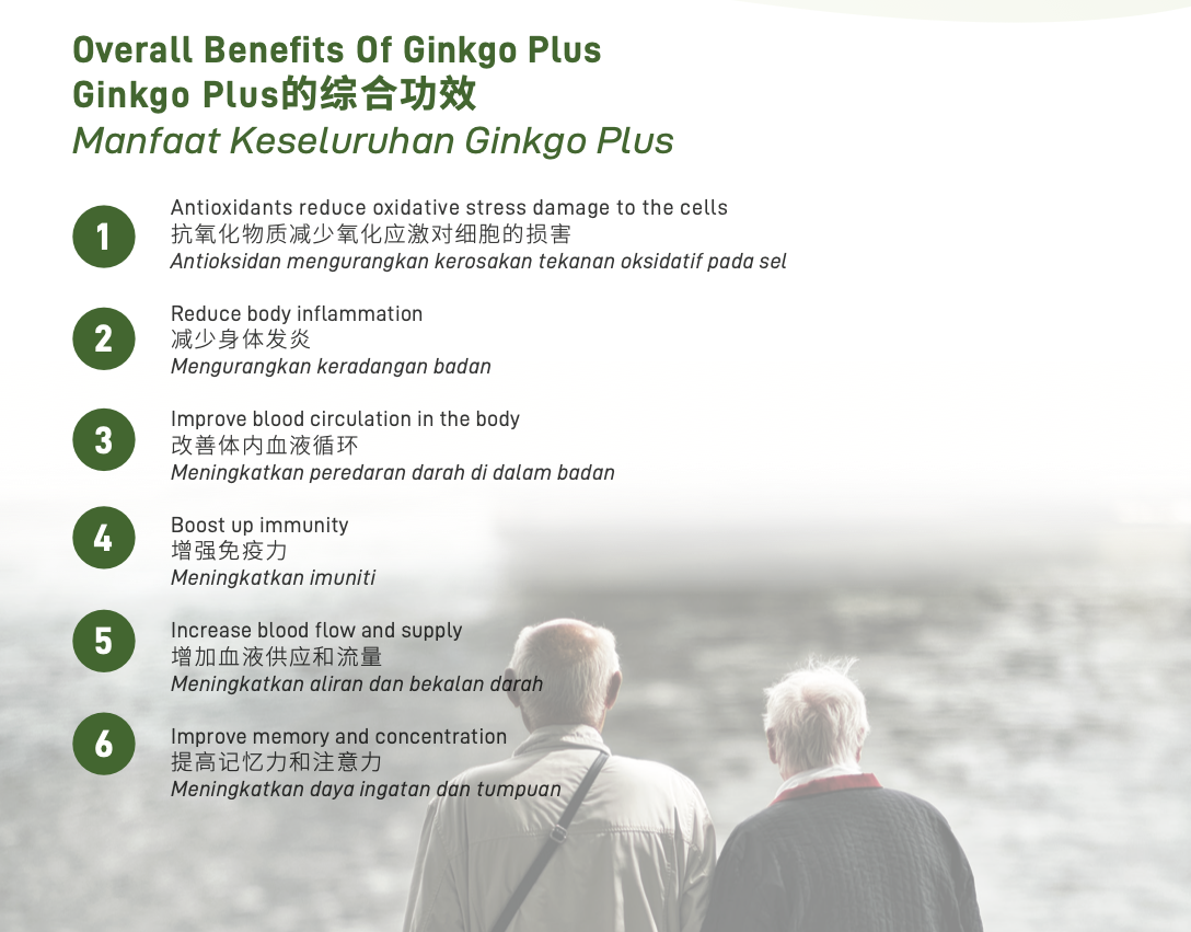 BIOBAY Ginkgo Plus 60 capsules