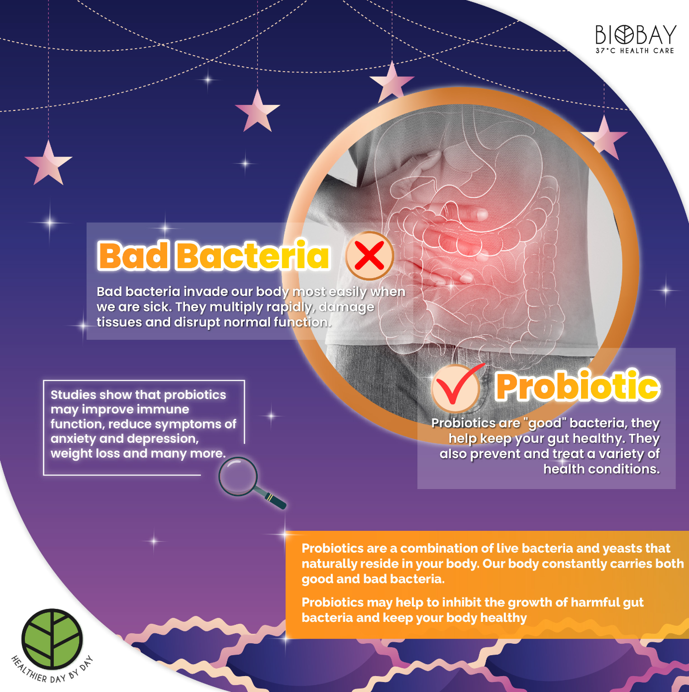 BIOBAY Yo-Shield 30 sachets